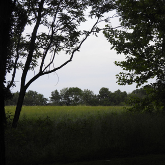 Wolf Pen at Twilight